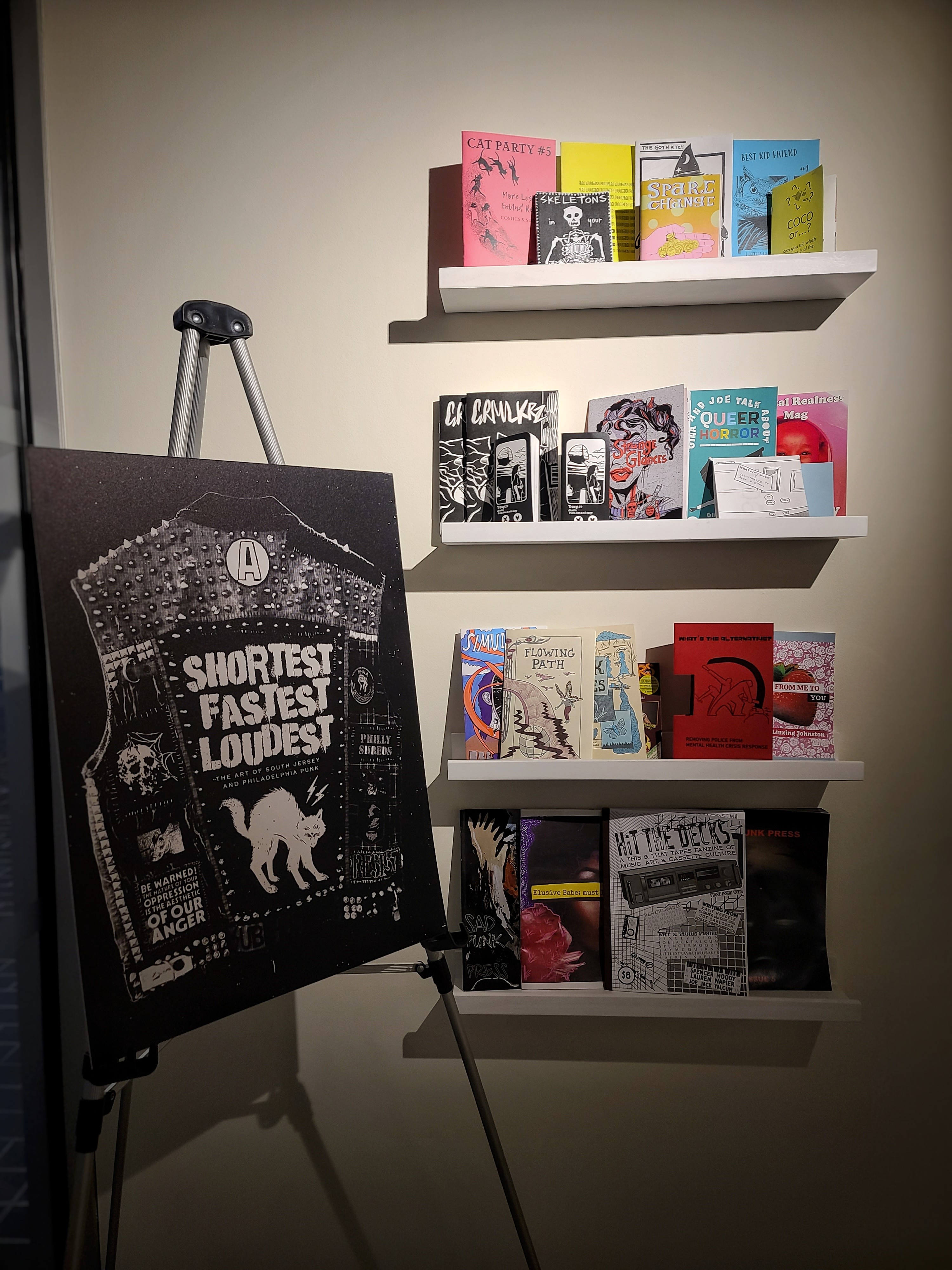 New art exhibit highlights local punk scene